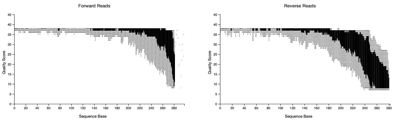 実践編3. Cutadaptによるプライマー配列の除去 | 環境DNAのバイオインフォマティクス